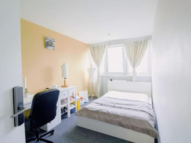 3 Bed / 1 Bath