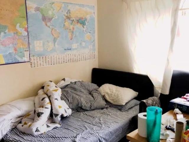 3 Bed / 1 Bath