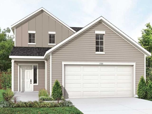3 Bed, 2 Bath New Home plan in McKinney, TX