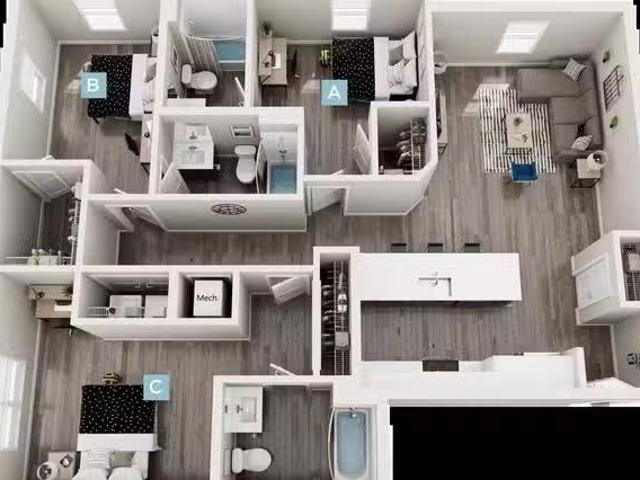 3 Bed 3 Bath Cedar II