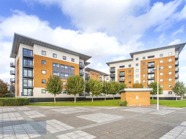 3 bed Apartment For rent