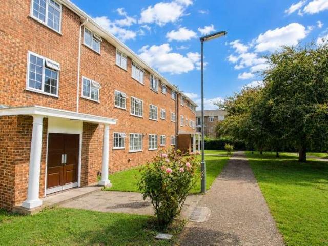 3 bed flat to rent