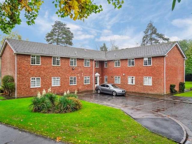 3 bed flat to rent