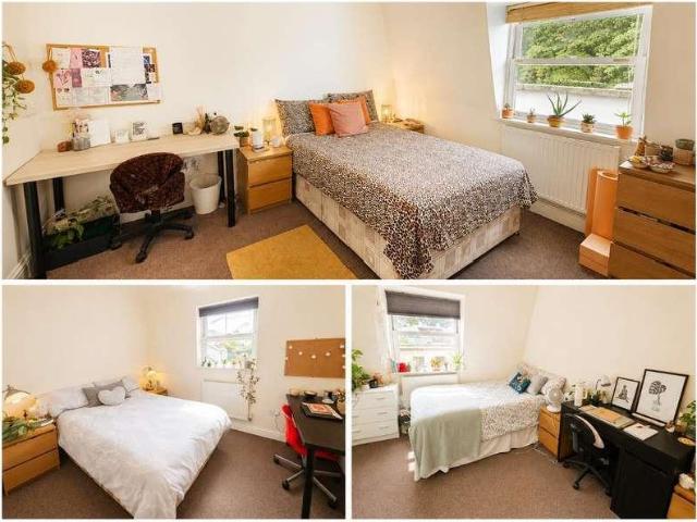 3 bed flat to rent