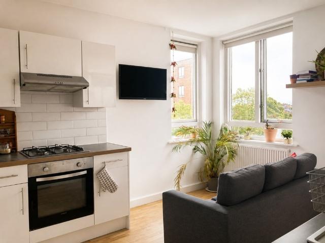 3 Bed Flat, Wrens Park House, E5