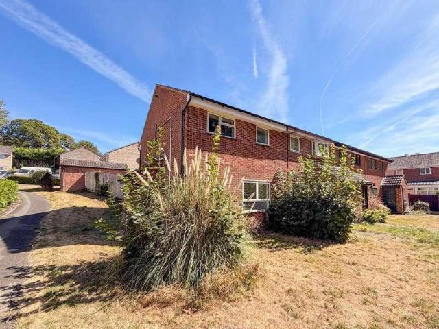 3 bed house to rent