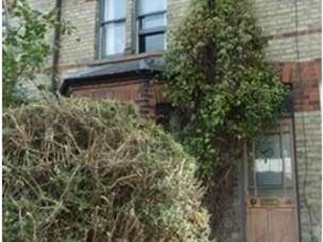 3 bed house to rent