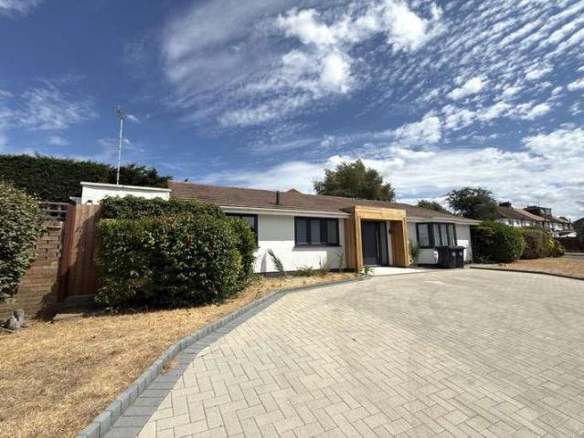 3 bed house to rent
