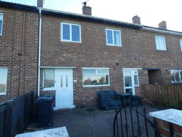 3 bed house to rent