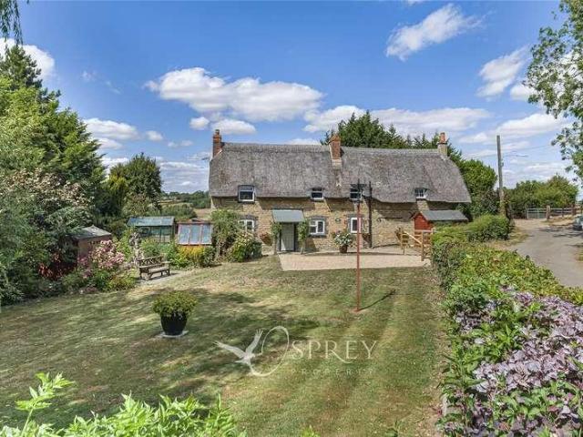 3 bed house to rent
