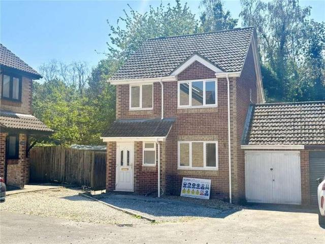 3 bed house to rent