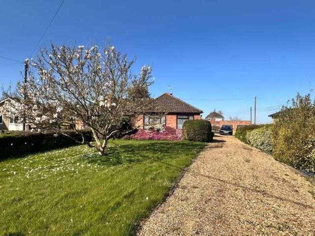 3 bed house to rent