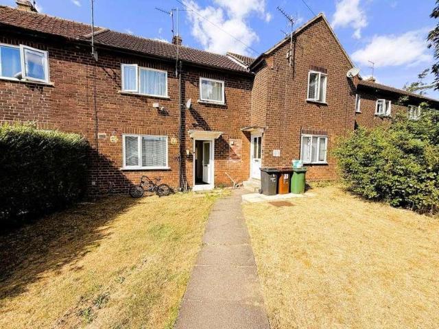 3 bed house to rent