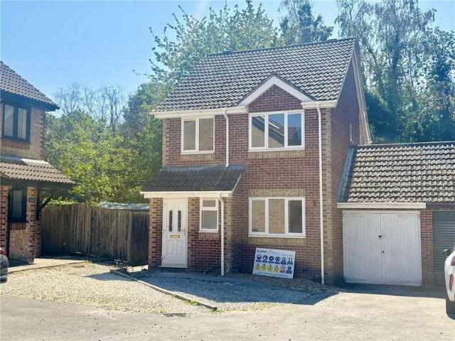 3 bed house to rent