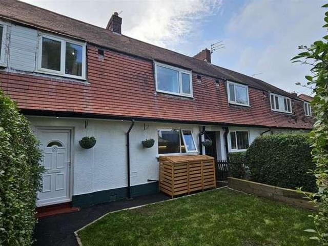3 bed house to rent