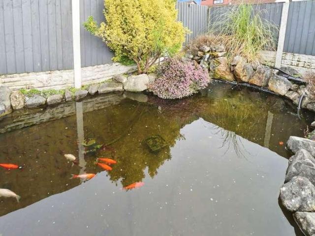 3 bed house for sale