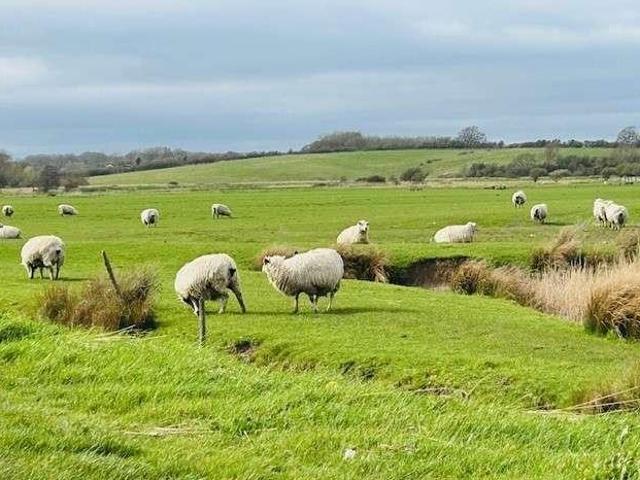 3 bed property for sale