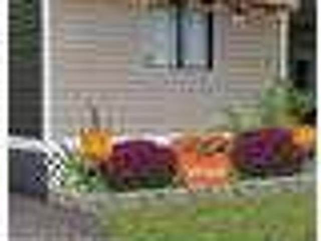 3 Bedroom 1 Bath In Lutz FL 33559