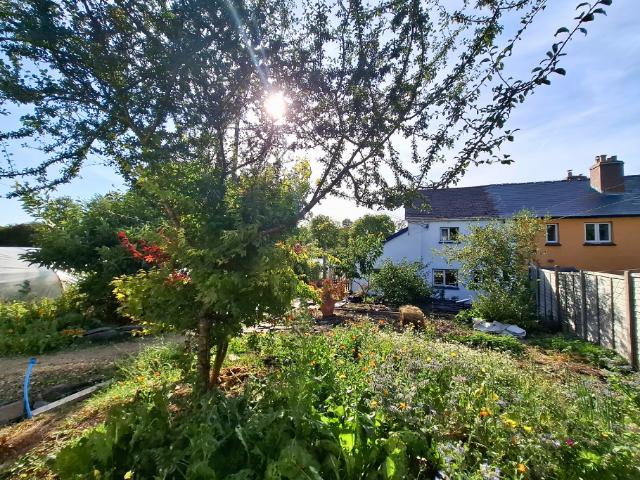 3 bedroom cottage for sale