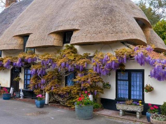 3 Bedroom Cottage For Sale In Wickhambreaux