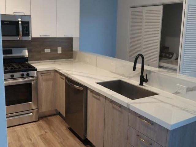 3 Bedroom Apartment for Rent at 2550 S Wabash Ave #506, Chicago, IL 60616 South Loop