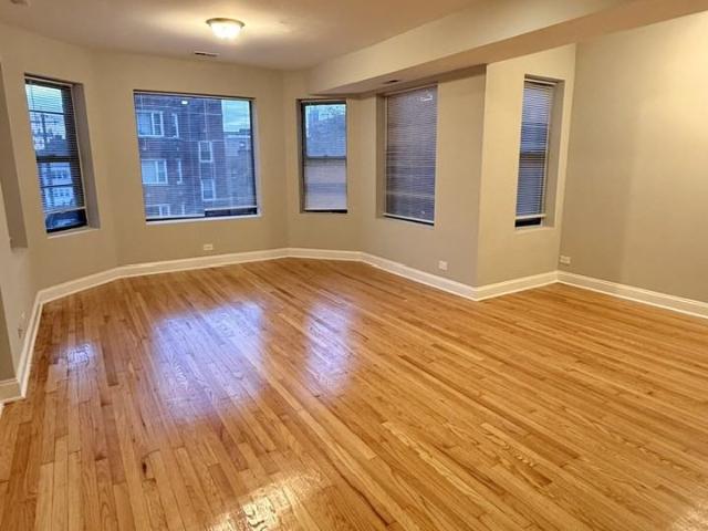 3 Bedroom Apartment for Rent at 6915 S Paxton Ave #1, Chicago, IL 60649 South Shore