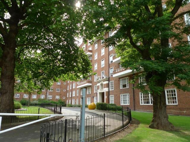 3 bedroom apartment to rent
