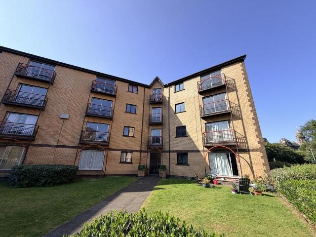 3 bedroom apartment to rent