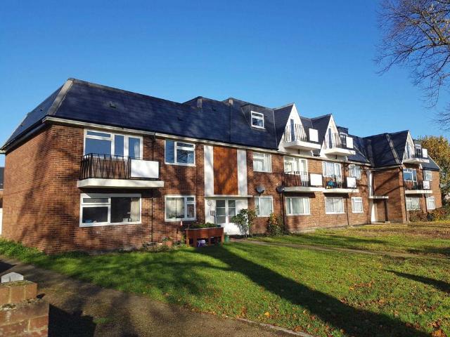 3 bedroom apartment to rent