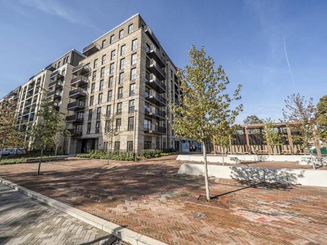 3 bedroom apartment to rent