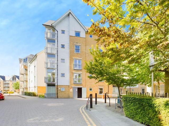 3 bedroom apartment to rent