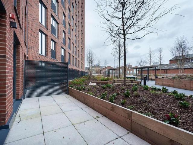 3 bedroom apartment to rent