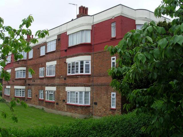 3 bedroom apartment to rent