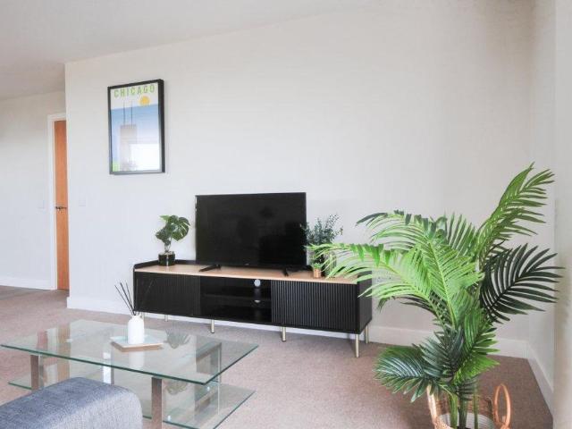 3 bedroom apartment to rent
