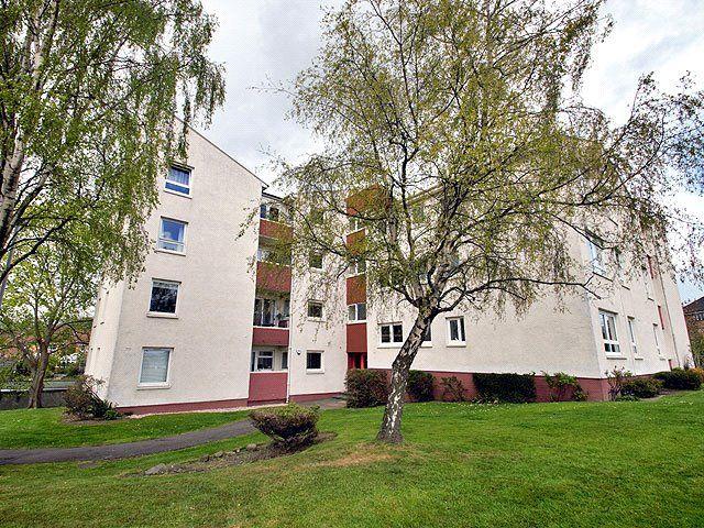 3 bedroom apartment to rent