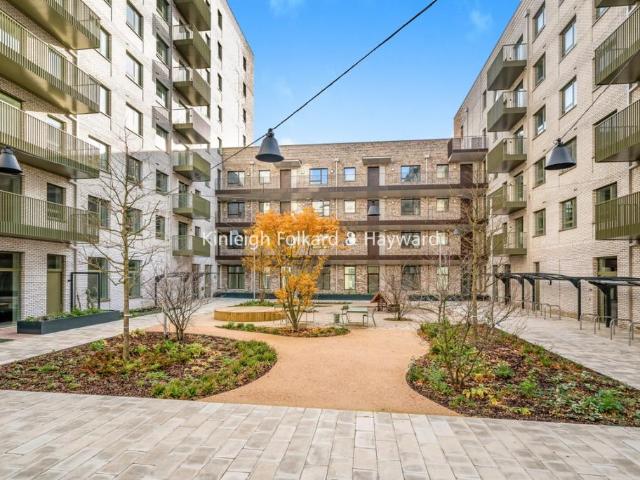 3 bedroom apartment to rent