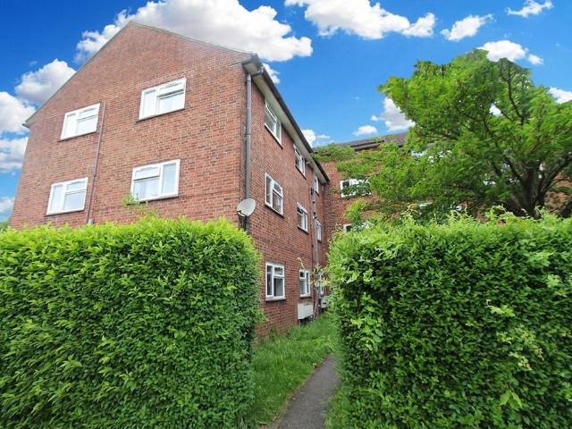 3 bedroom apartment to rent