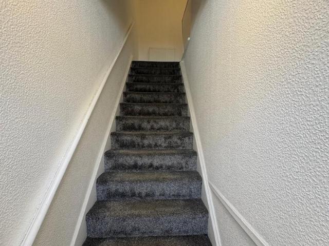 3 bedroom apartment to rent