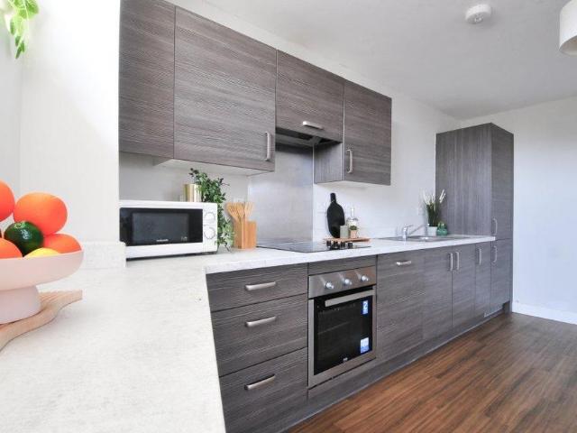 3 bedroom apartment to rent