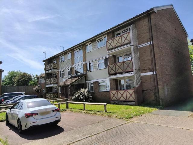 3 bedroom apartment to rent