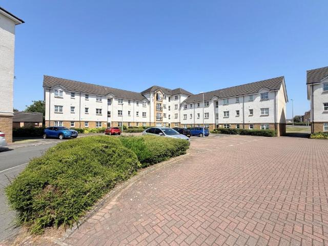 3 bedroom apartment to rent