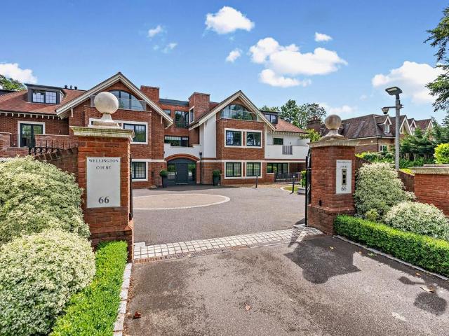 3 bedroom apartment to rent