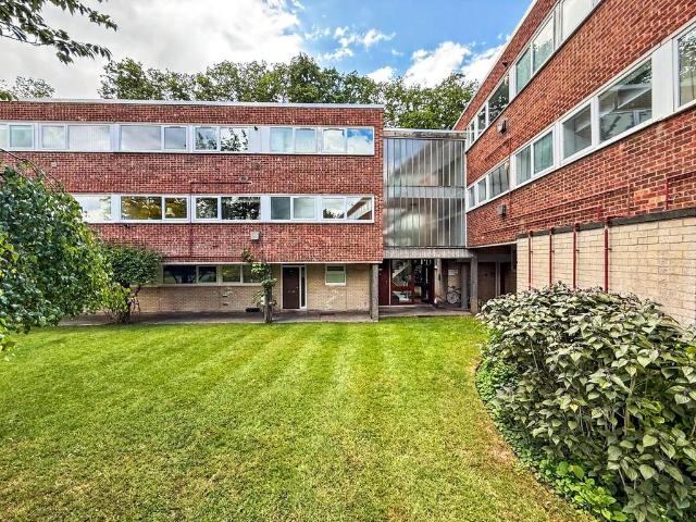 3 bedroom apartment to rent