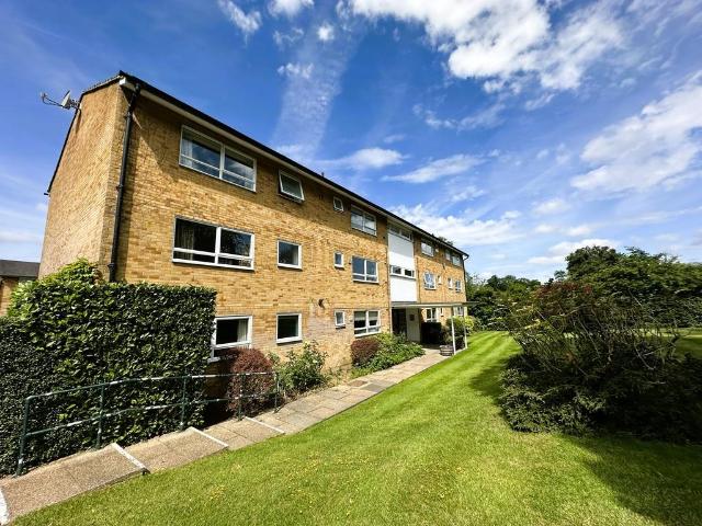 3 bedroom apartment to rent