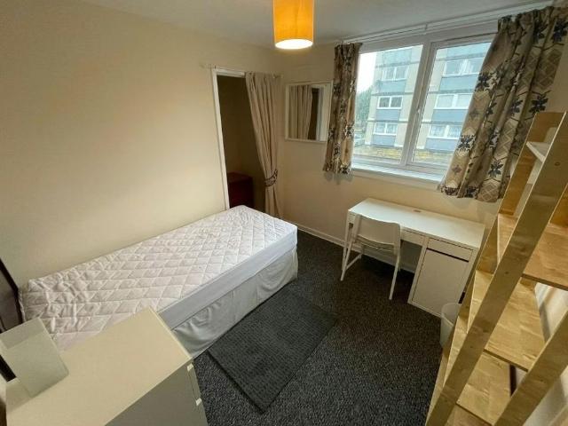 3 bedroom apartment to rent