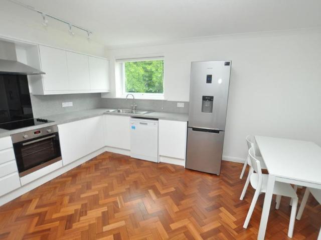 3 bedroom apartment to rent