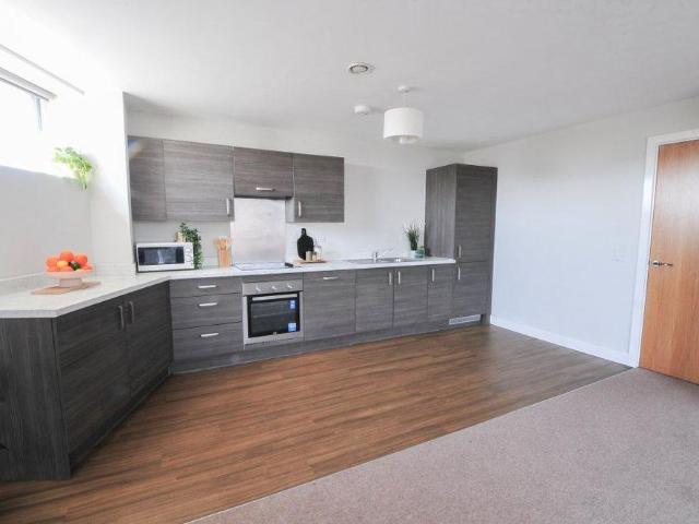3 bedroom apartment to rent