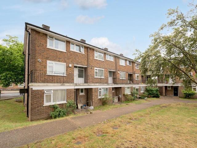 3 bedroom apartment to rent