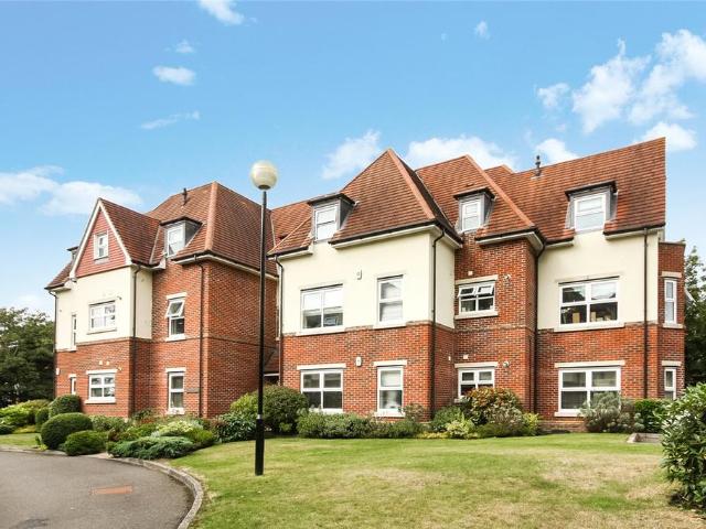 3 bedroom apartment to rent