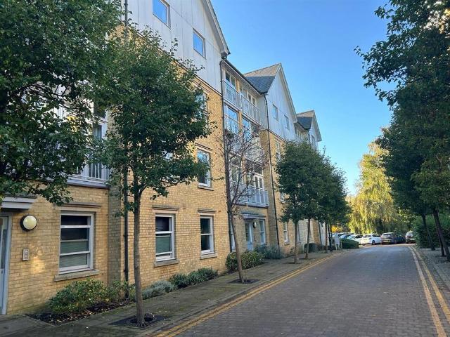 3 bedroom apartment to rent